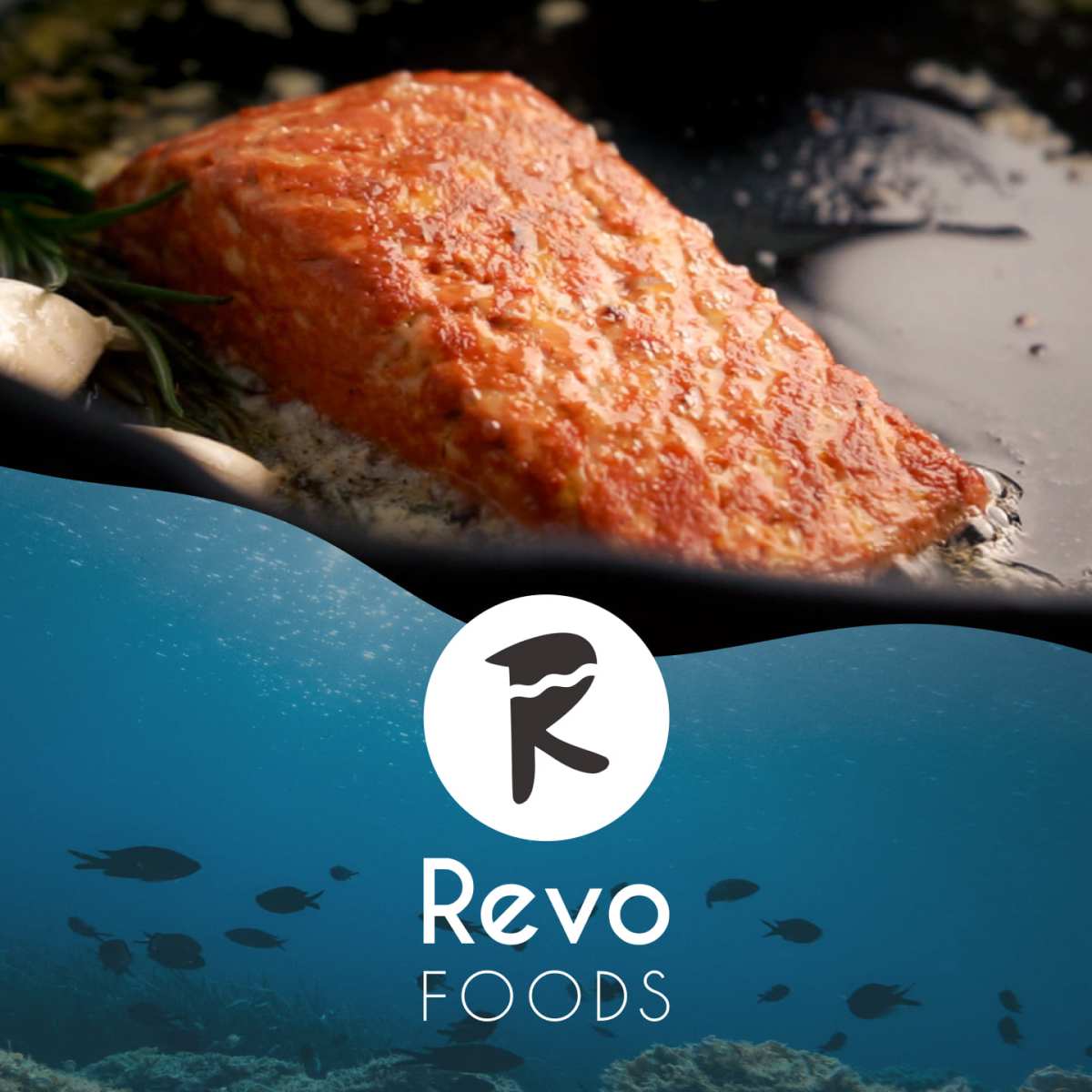 Home - Revo Foods